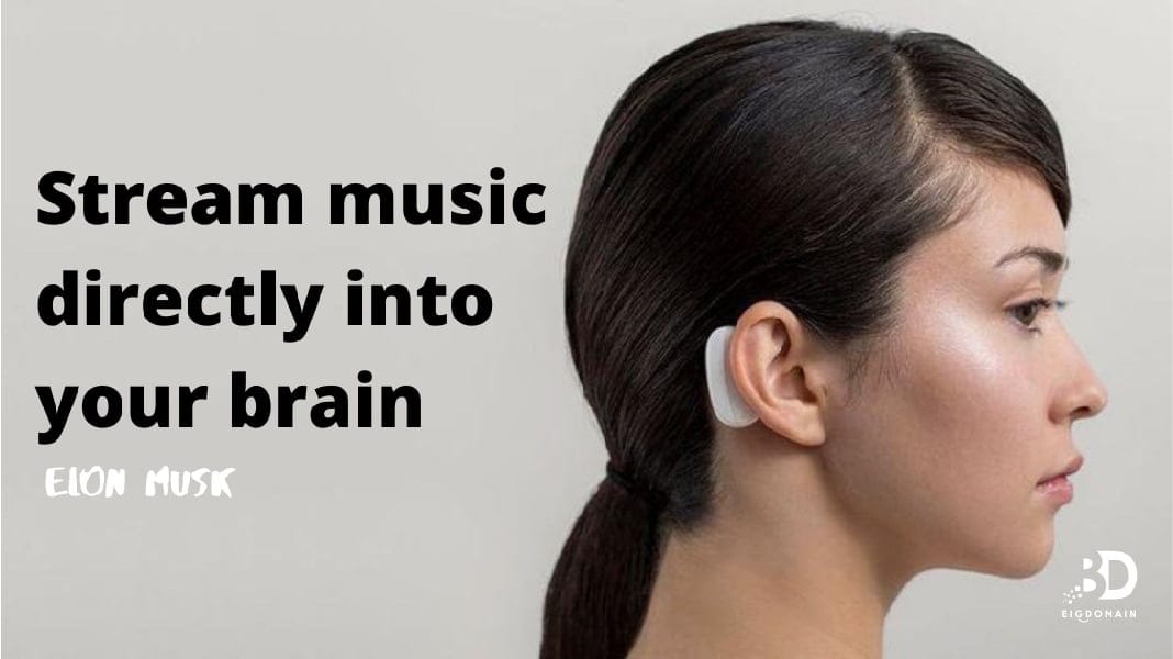 Elon Musk Next Trick - Stream Music Directly Into Your Brain | BigDomain.my Malaysia Domain | SEO